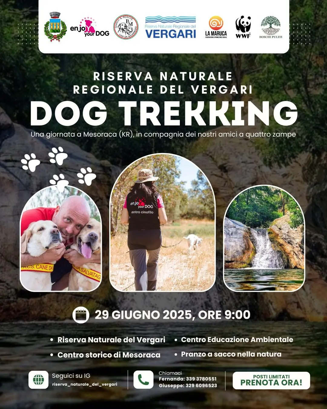 Dog Trekking nella Riserva Naturale Regionale del Vergari | Calabria ...