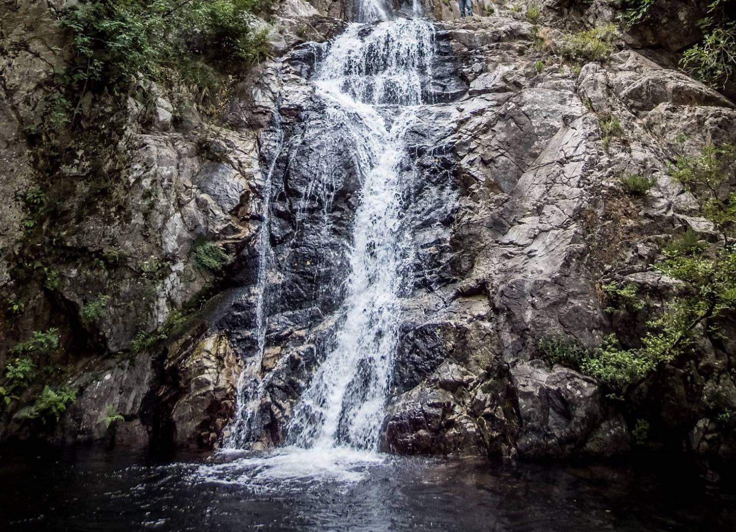 Alla scoperta di Bivongi, il “Borgo della Longevità” | Calabria ...