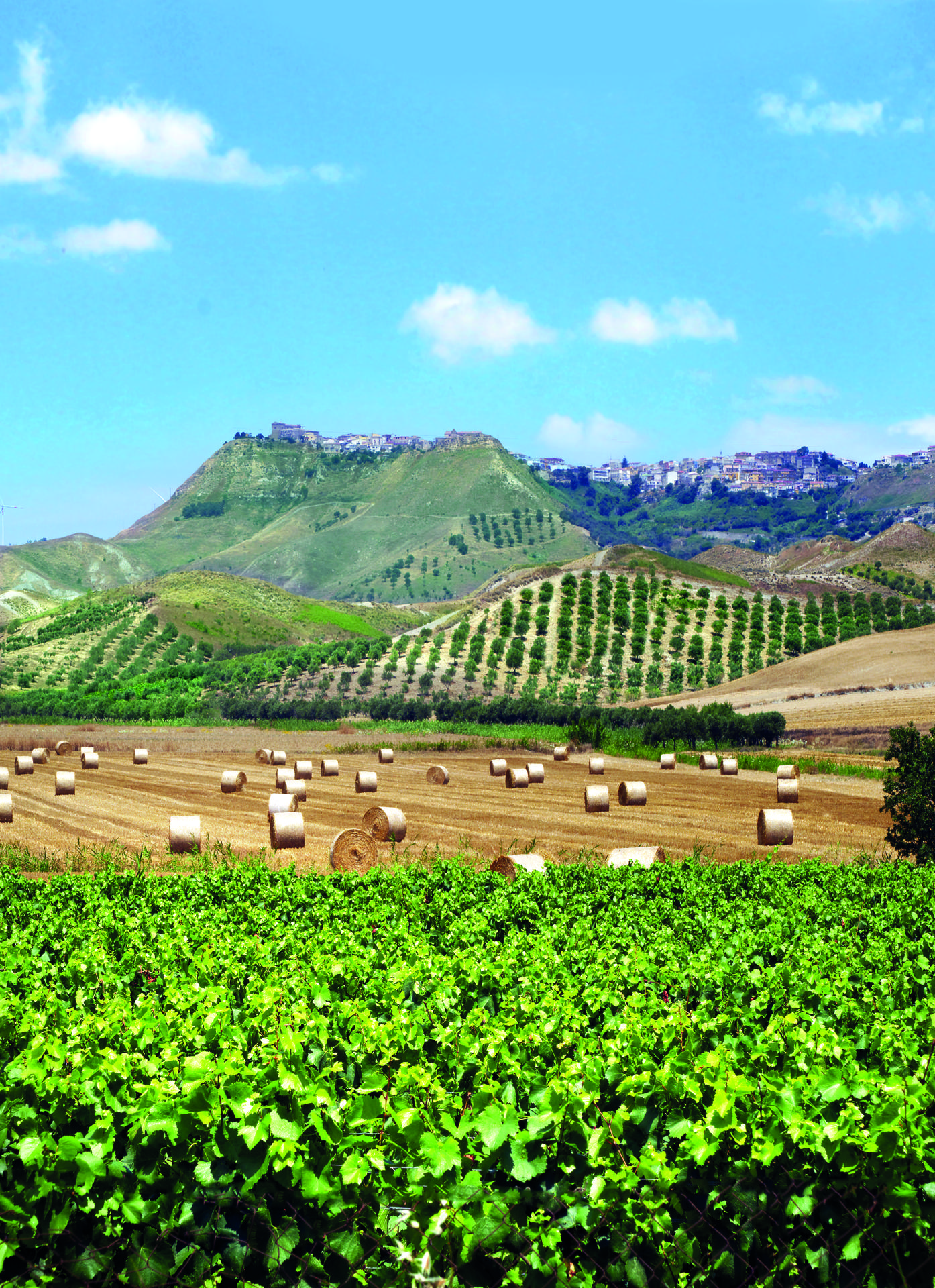 Strongoli | Calabria Region Official Tourism website